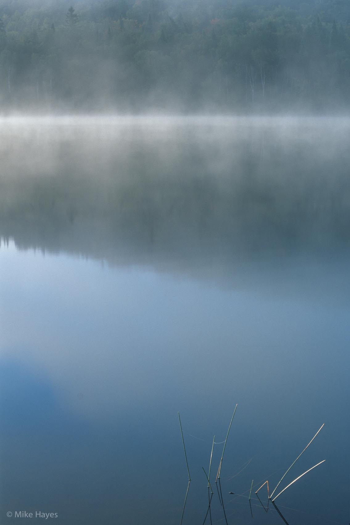 Lac-Chat-MHayes-2 | Sea Surf Dirt